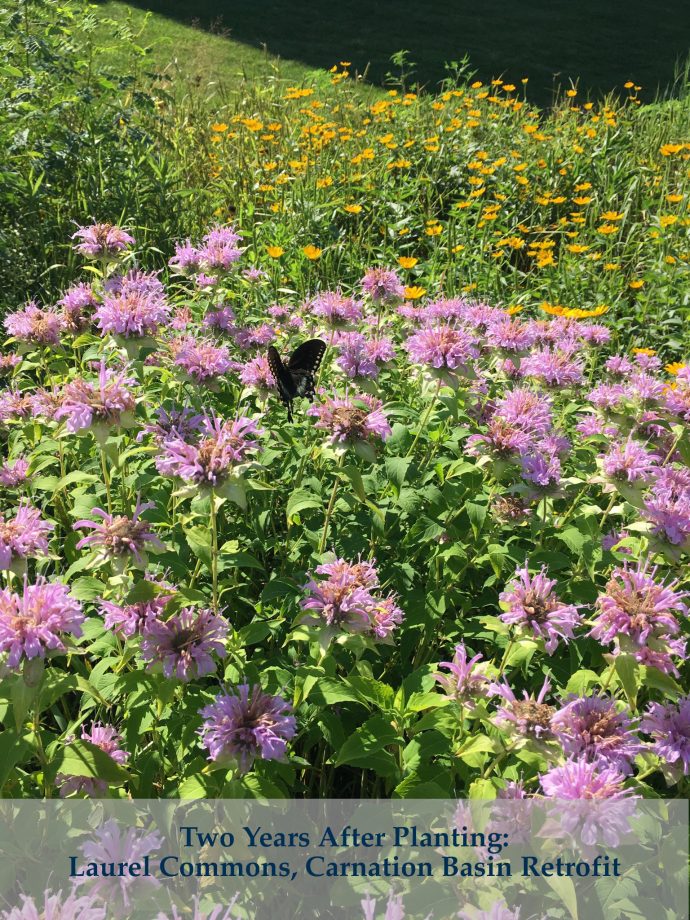 Princeton Hydro's Conservation Spotlight: SAVING BARNEGAT BAY ...