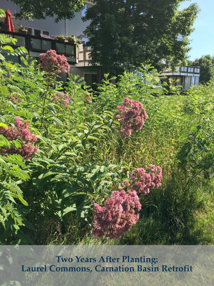 Princeton Hydro's Conservation Spotlight: SAVING BARNEGAT BAY ...
