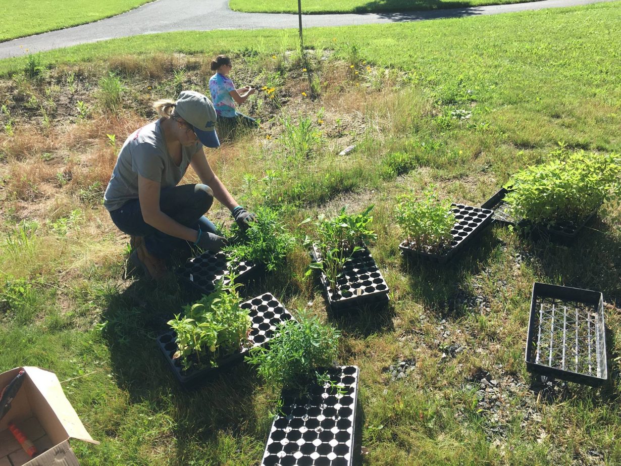 How to Improve Water Quality in Your Community - PRINCETON HYDRO