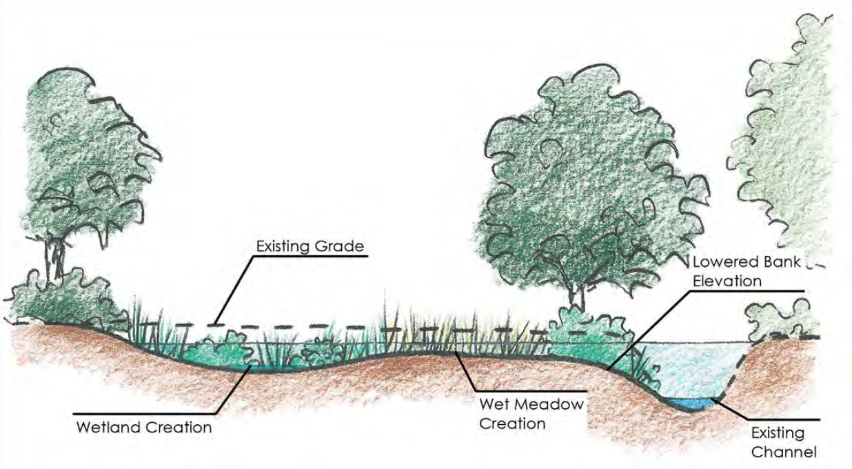 Understanding and Implementing Green Infrastructure - PRINCETON HYDRO
