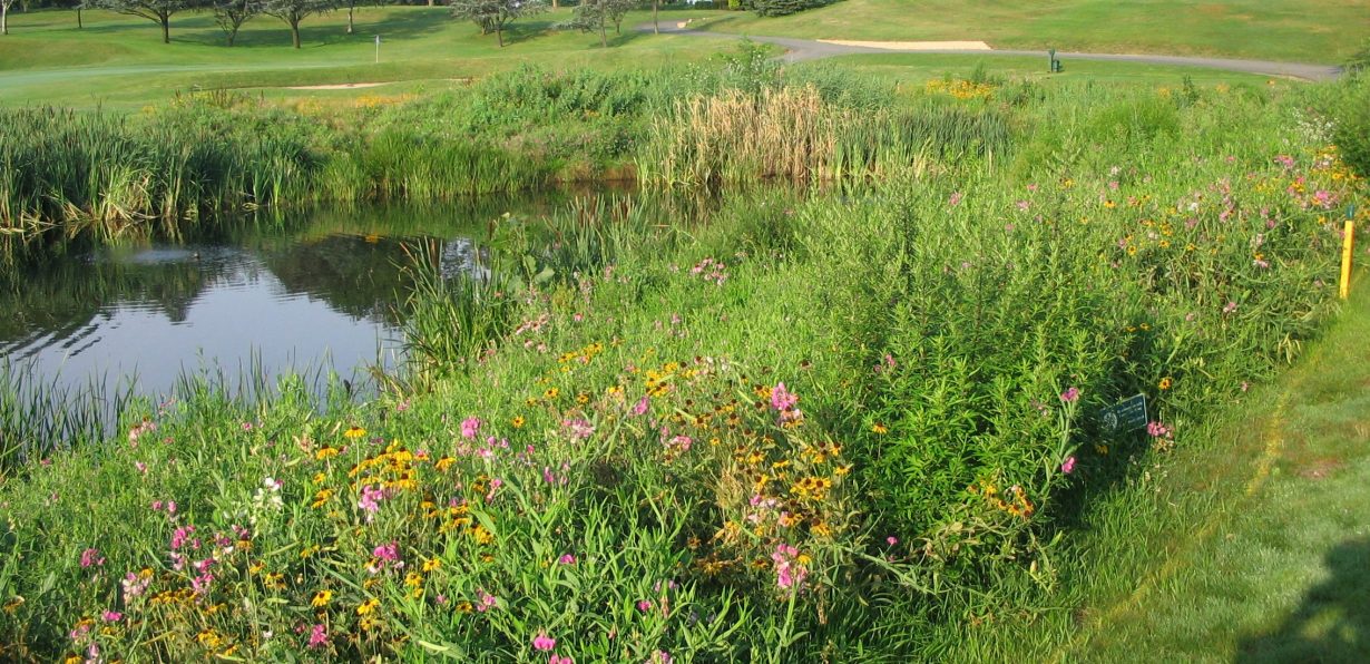 6 Tips To Prepare Your Pond For Spring - PRINCETON HYDRO