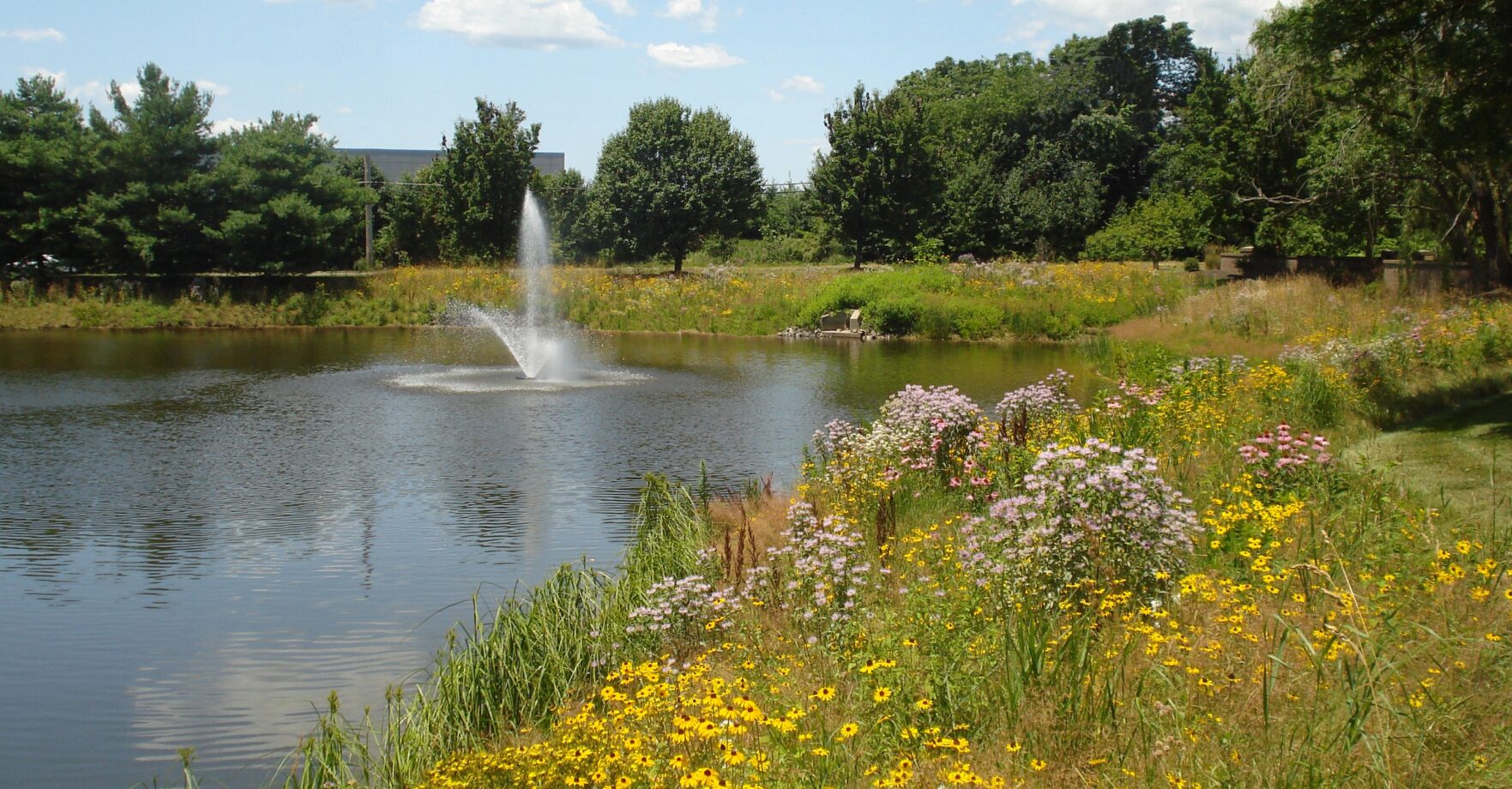 How to Improve Water Quality in Your Community - PRINCETON HYDRO