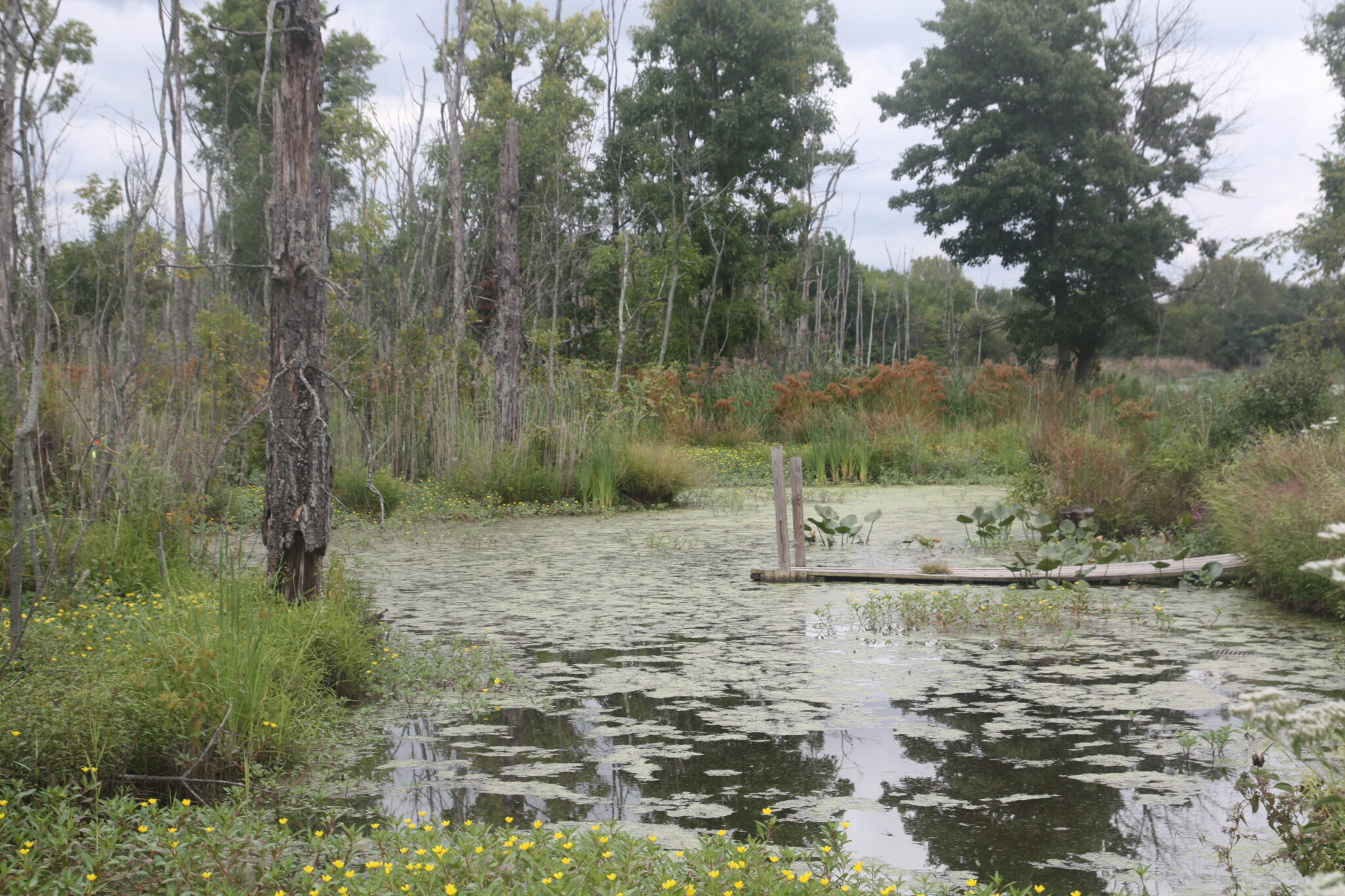 Celebrating World Wildlife Day: A Look Back at the Thriving Habitat of ...