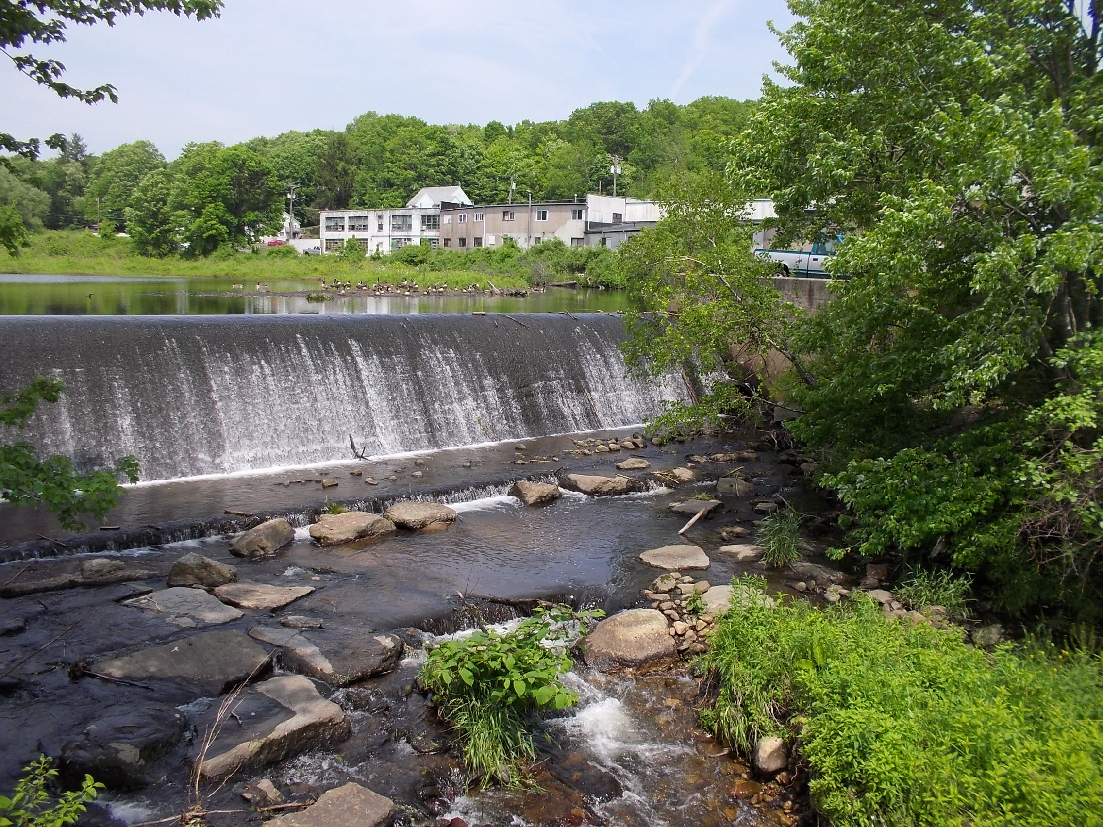 Heminway Pond Dam Removal - PRINCETON HYDRO