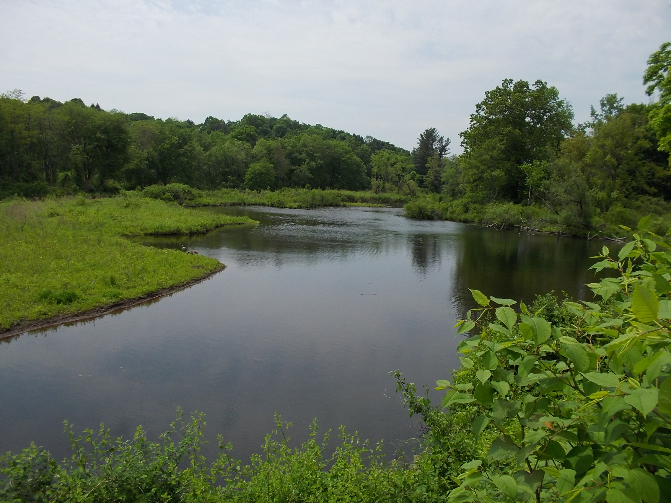 7 Easy Water Conservation Tips - PRINCETON HYDRO