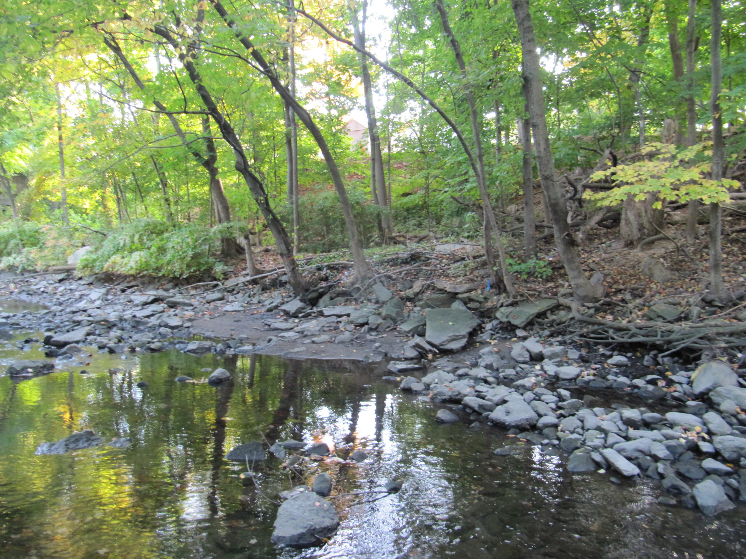 Noroton River Culvert Fishway - PRINCETON HYDRO