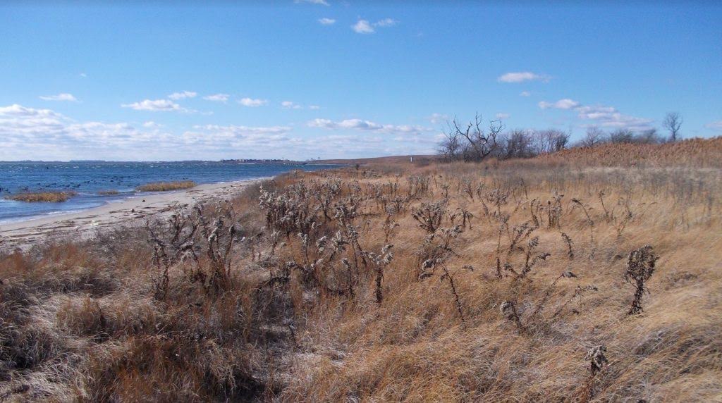 Spring Creek South Restoration & Coastal Risk Management - PRINCETON ...