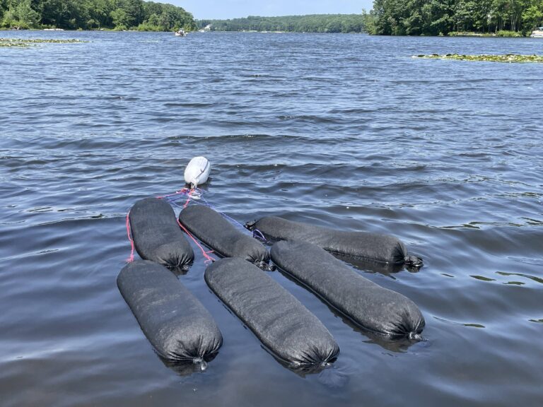 How to Reduce Nutrients & Improve Water Quality with Biochar ...
