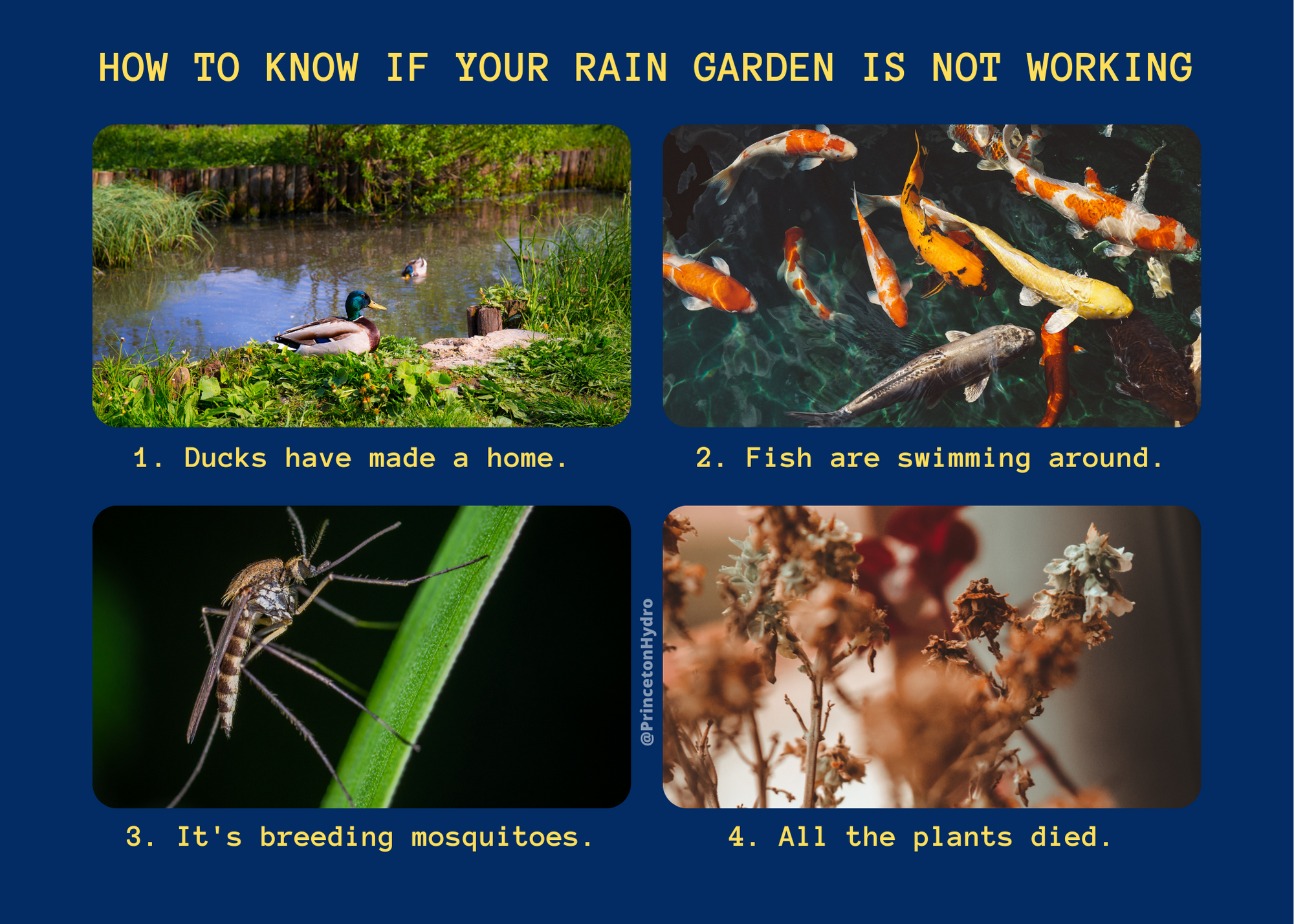 How To Build a Rain Garden in 10 Steps - PRINCETON HYDRO