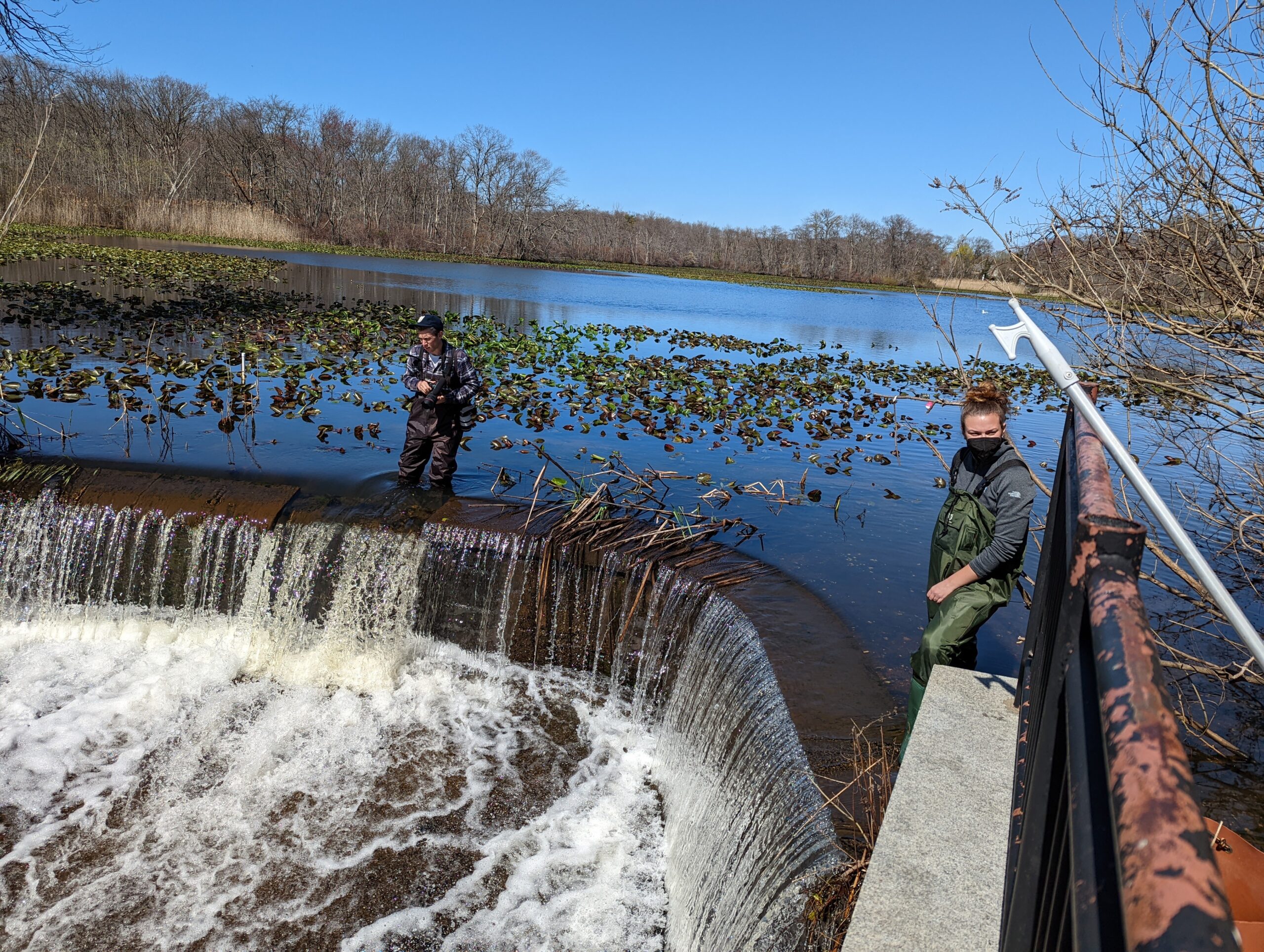 Client Spotlight: Seatuck Environmental Association - PRINCETON HYDRO