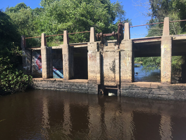 Restoring Fish Passage and Ecological Function: The Horseshoe Mill Dam ...
