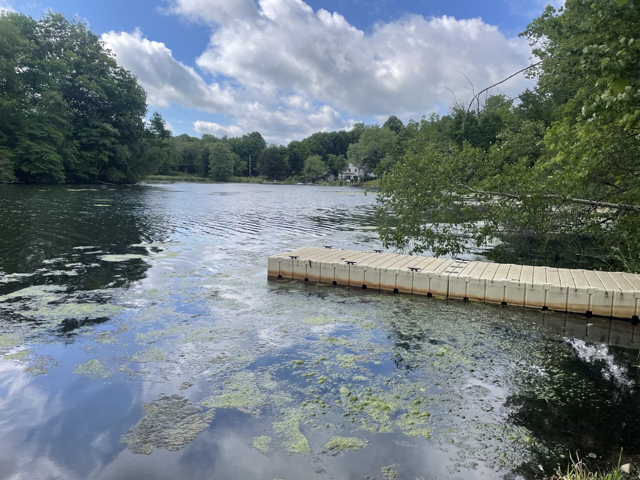 Harmful Algal Blooms and World Water Day Awareness - PRINCETON HYDRO