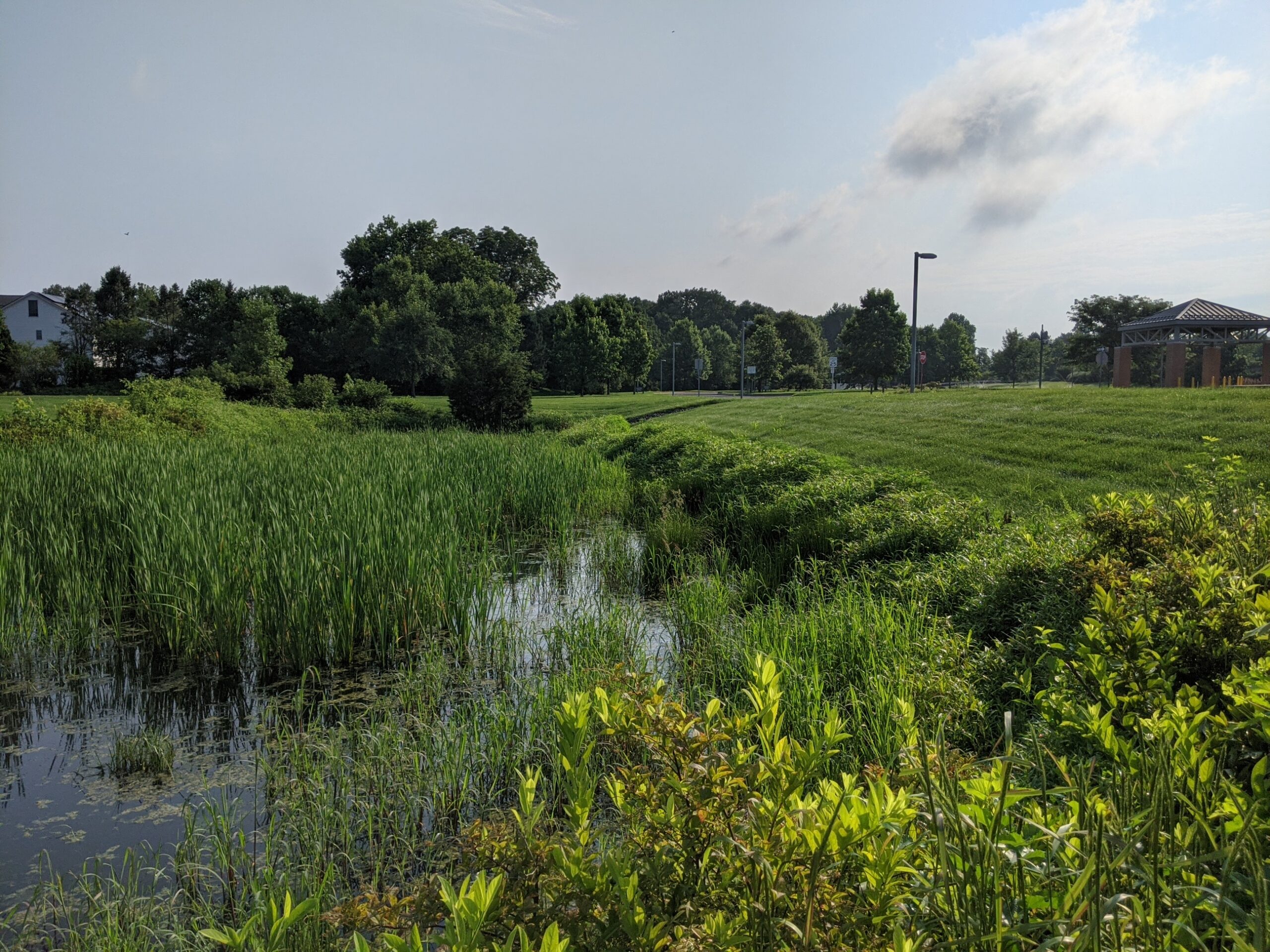 Designing a Stormwater Management System for a 55-Acre Corporate Campus ...