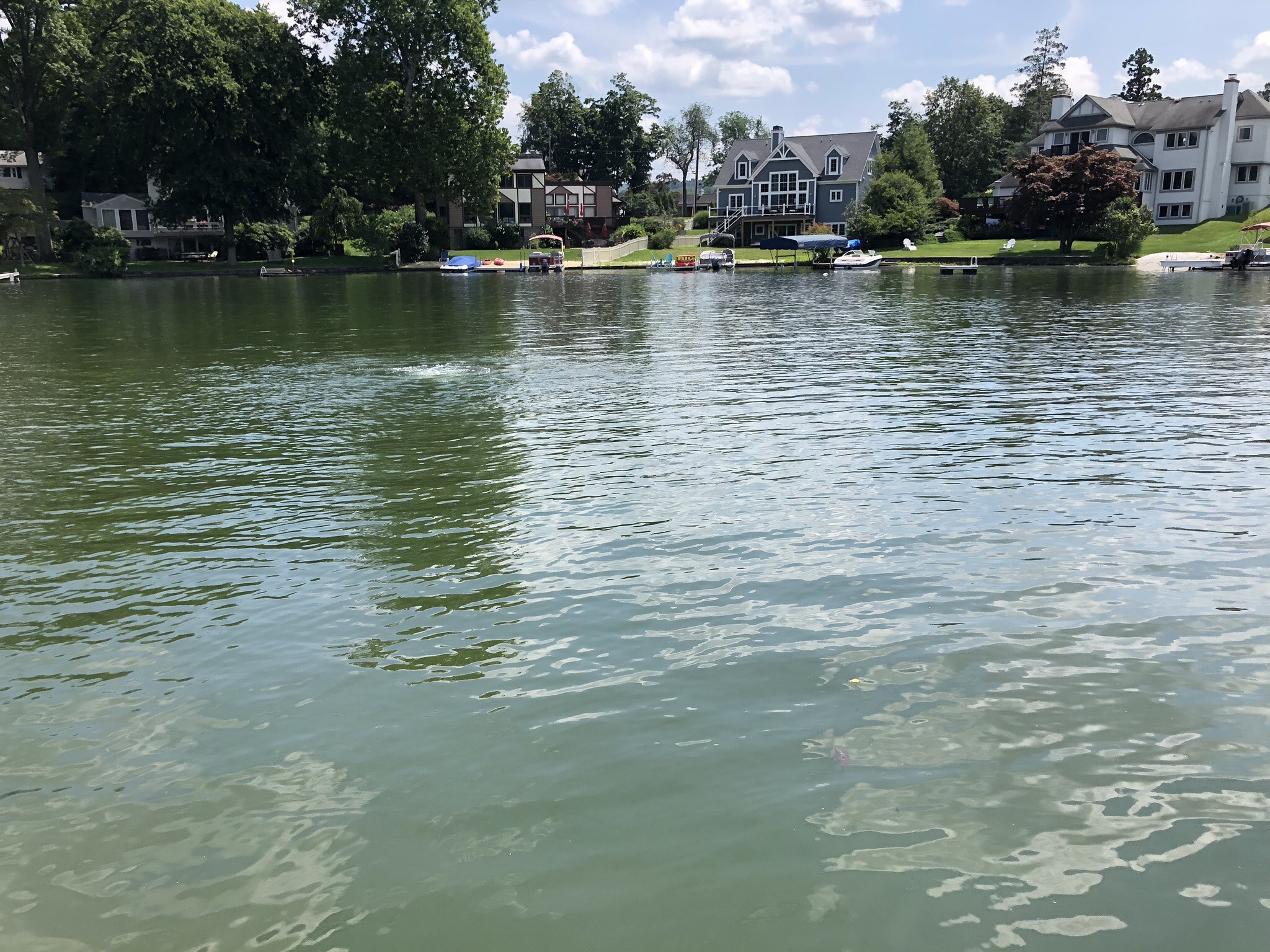 Lake Mohawk Restoration & Management - PRINCETON HYDRO