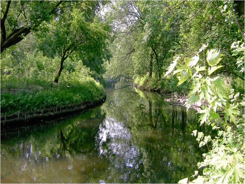 USACE Microbial Source Tracking of the Bronx River Watershed ...