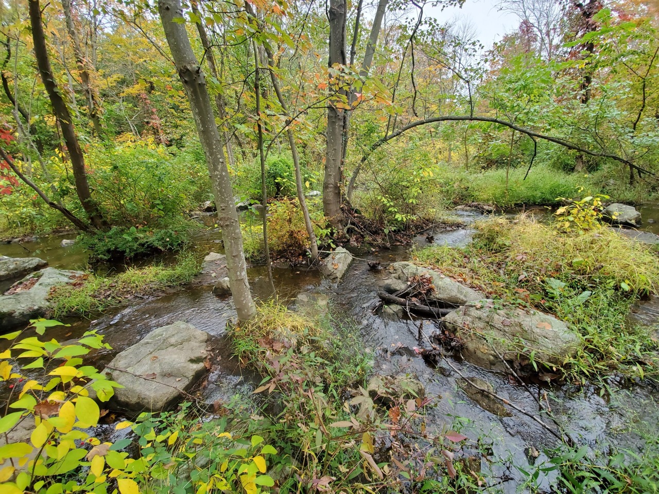 Field Assessment Engineering for Musconetcong River Projects ...