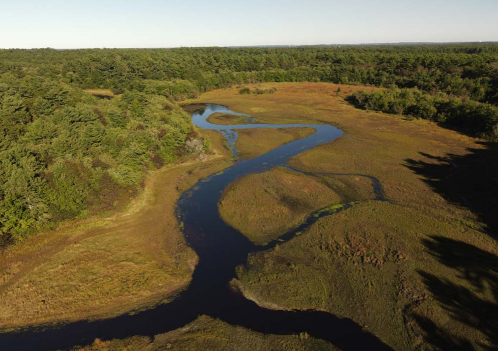 Restoring Fish Passage and Ecological Function: The Horseshoe Mill Dam ...