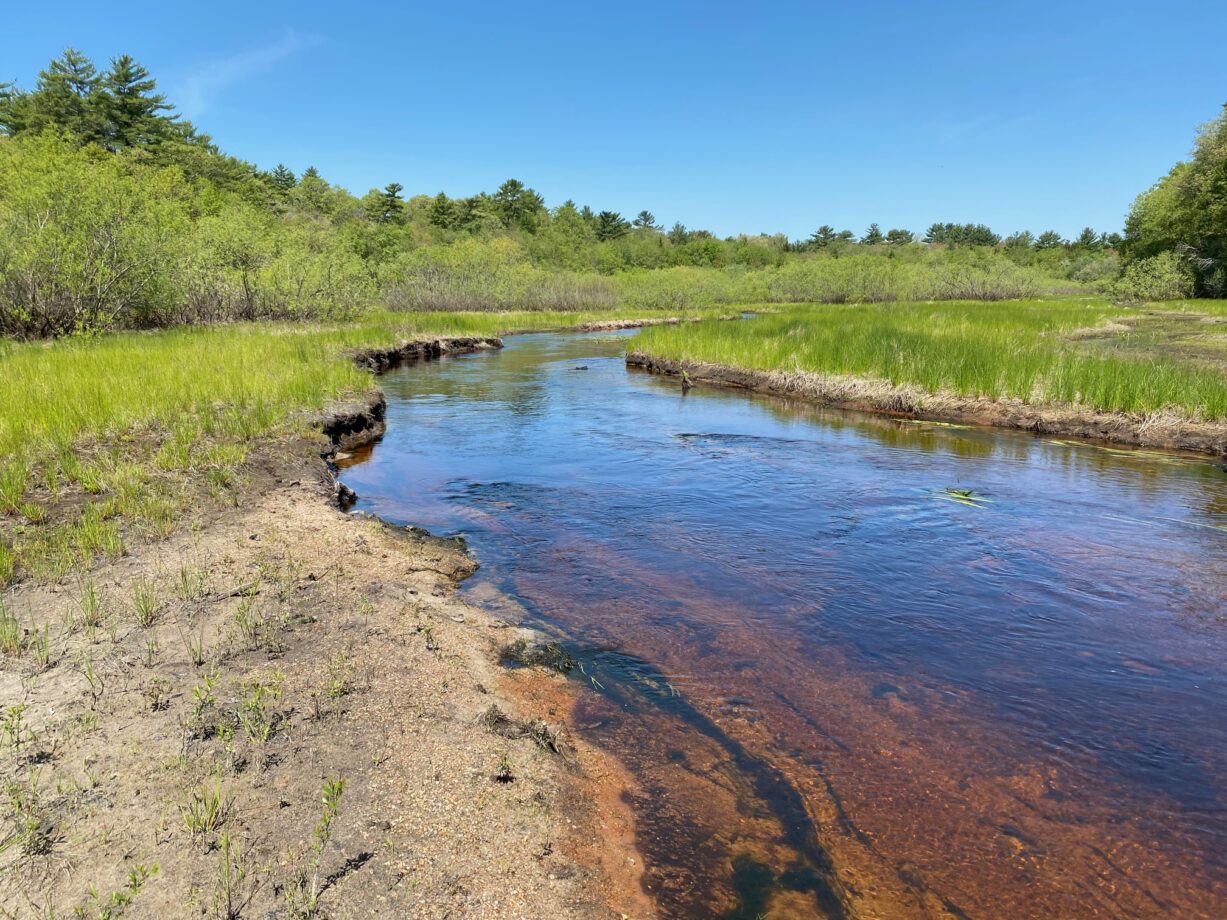 Restoring Fish Passage and Ecological Function: The Horseshoe Mill Dam ...