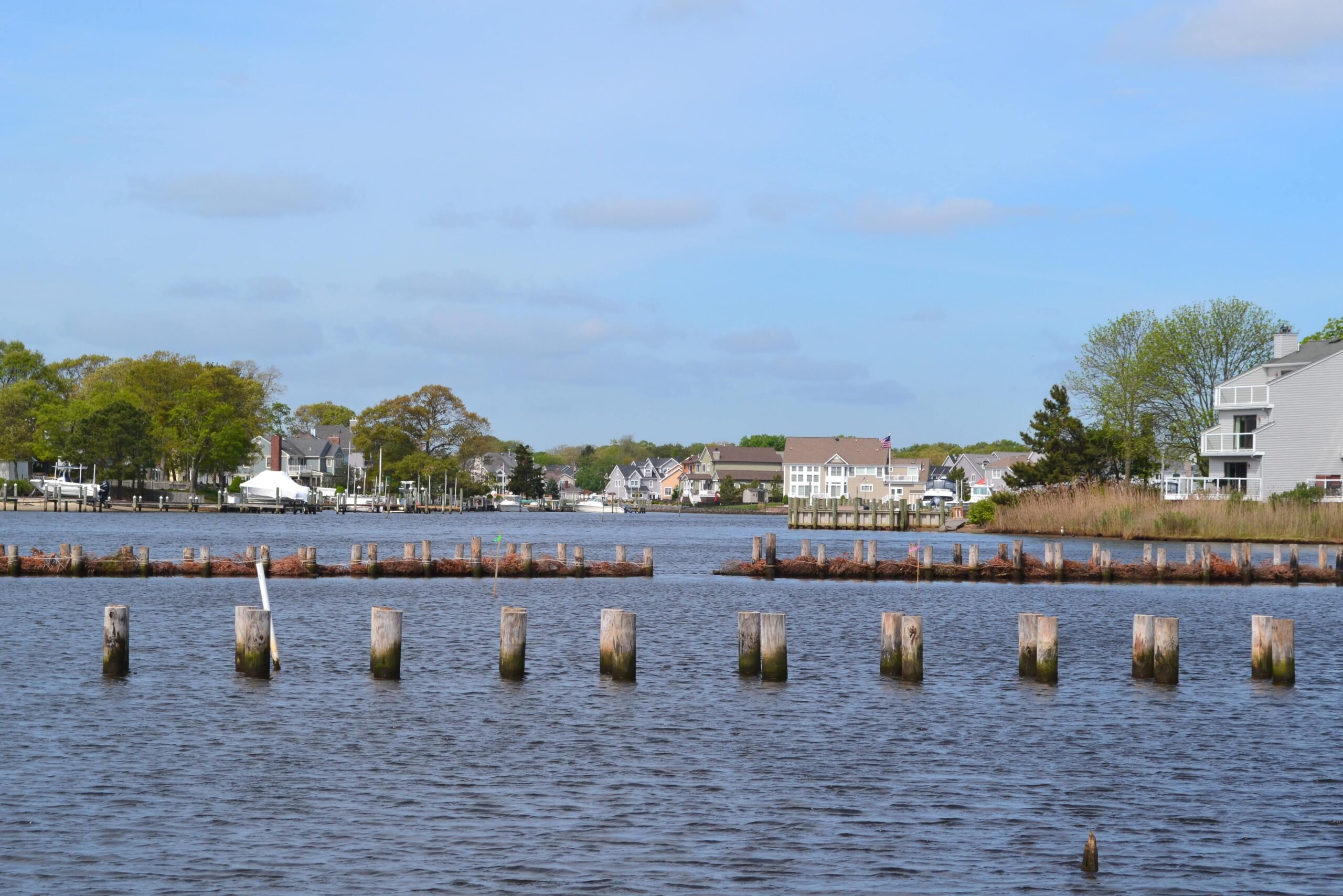 Living Shoreline at Slade Dale Sanctuary - PRINCETON HYDRO