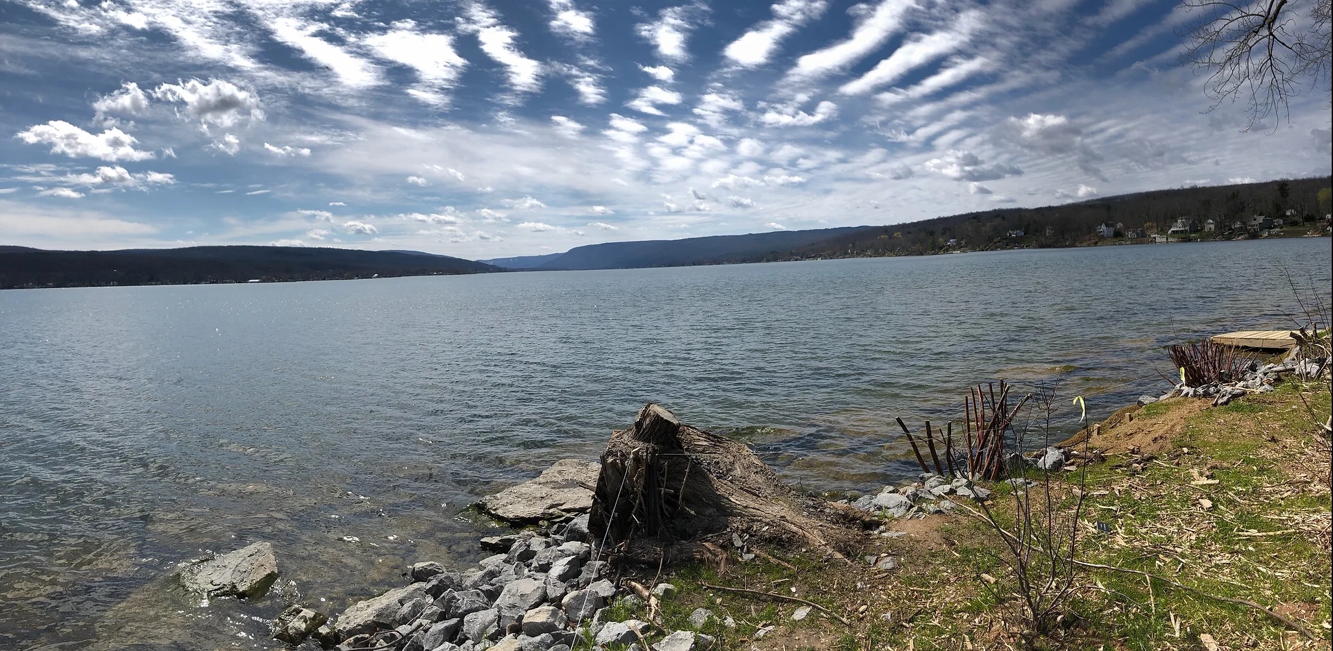 HAB Management Feasibility Assessment for Honeoye and Conesus Lakes ...