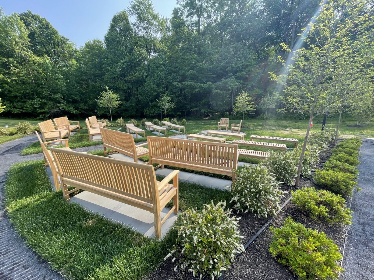 From Turf to Biodiverse Outdoor Space: The Remarkable Transformation of ...