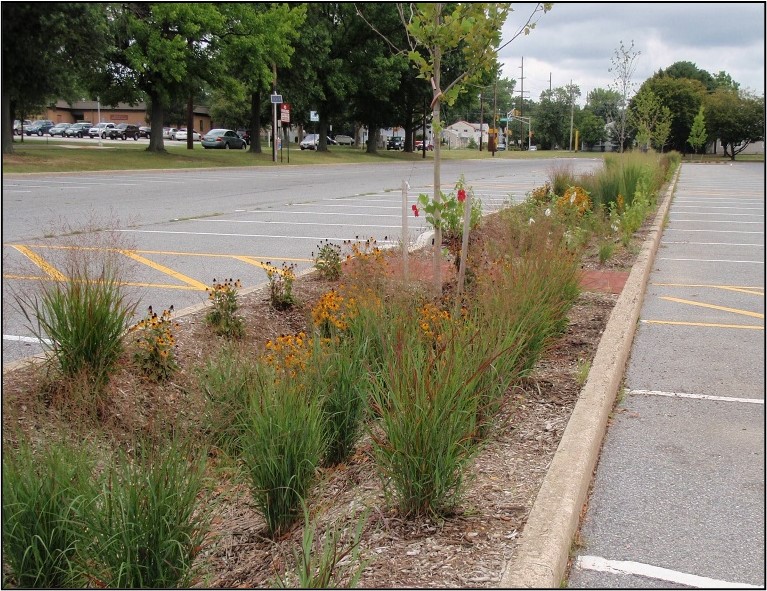 Rowan University Bio-Infiltration Stormwater Retrofit - PRINCETON HYDRO