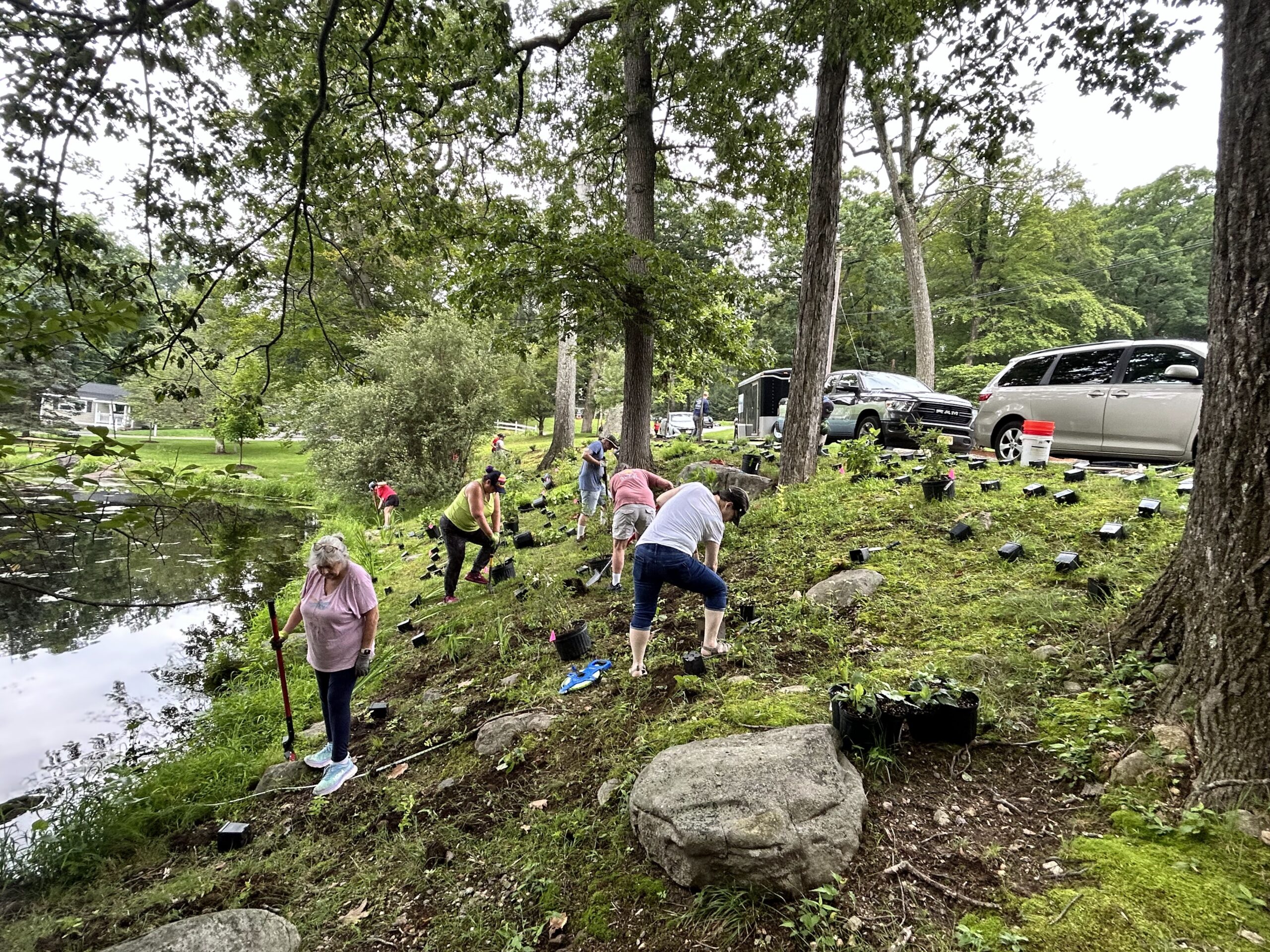 Memorial Pond Stabilization Planting - PRINCETON HYDRO