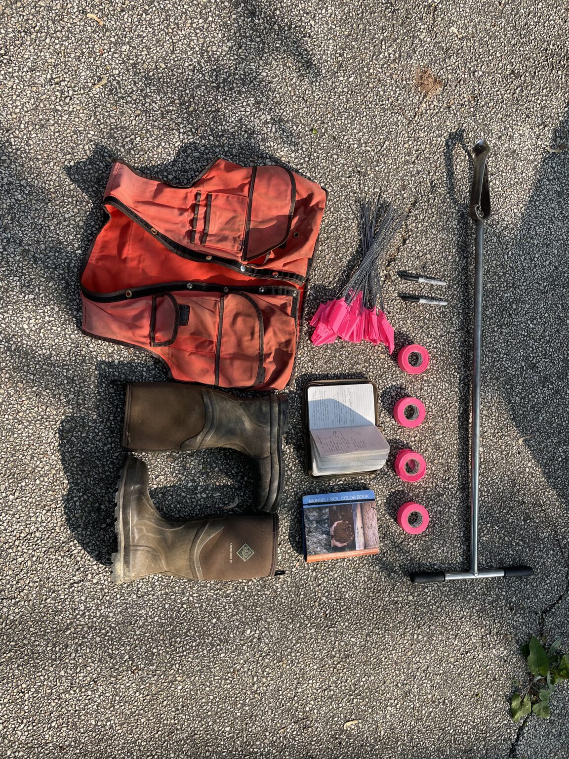 A Day in the Life: Performing a Wetland Delineation - PRINCETON HYDRO