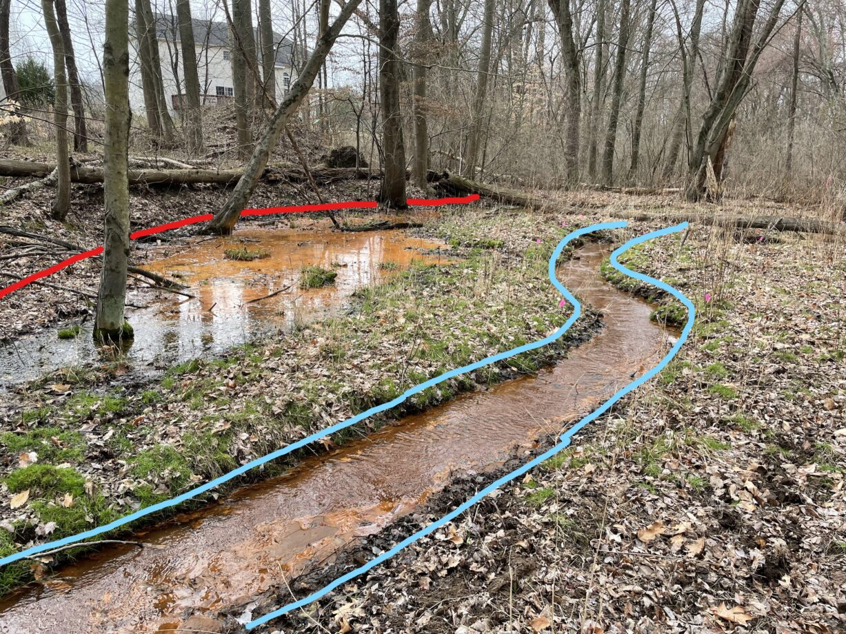 A Day in the Life: Performing a Wetland Delineation - PRINCETON HYDRO