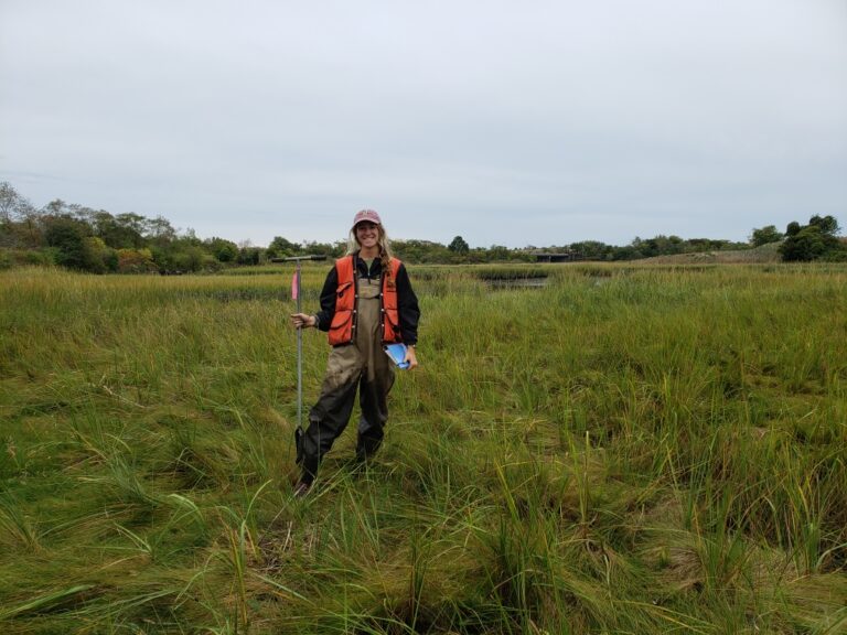 A Day in the Life: Performing a Wetland Delineation - PRINCETON HYDRO