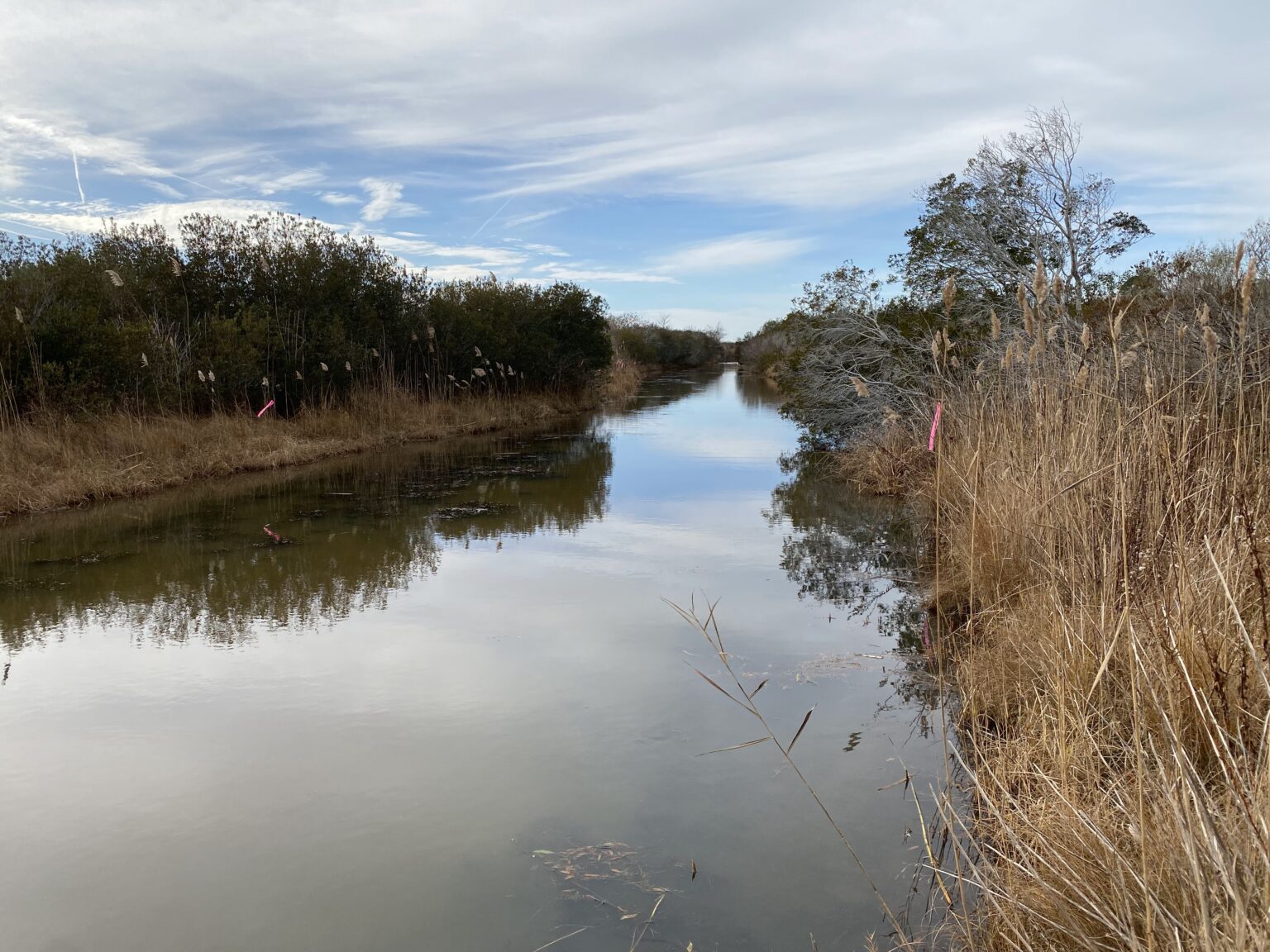 A Day in the Life: Performing a Wetland Delineation - PRINCETON HYDRO