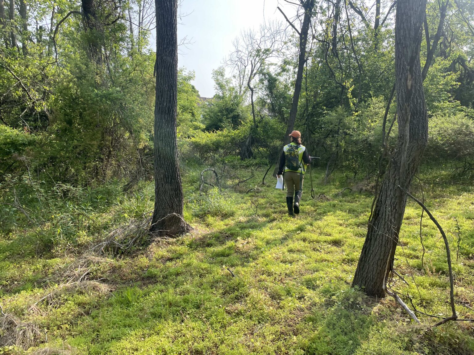 A Day in the Life: Performing a Wetland Delineation - PRINCETON HYDRO