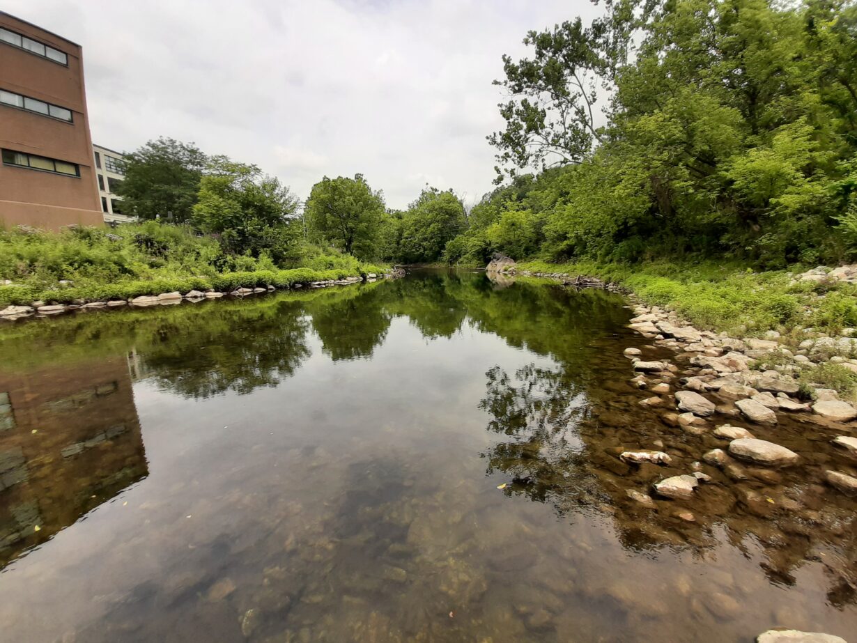 Celebrating the One-Year Anniversary of the Crayola Dam Removal on ...