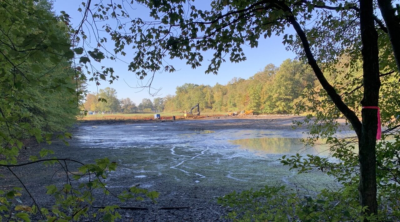 Restoring Balance: Converting a Pond into a Wetland Mosaic at Lion’s ...
