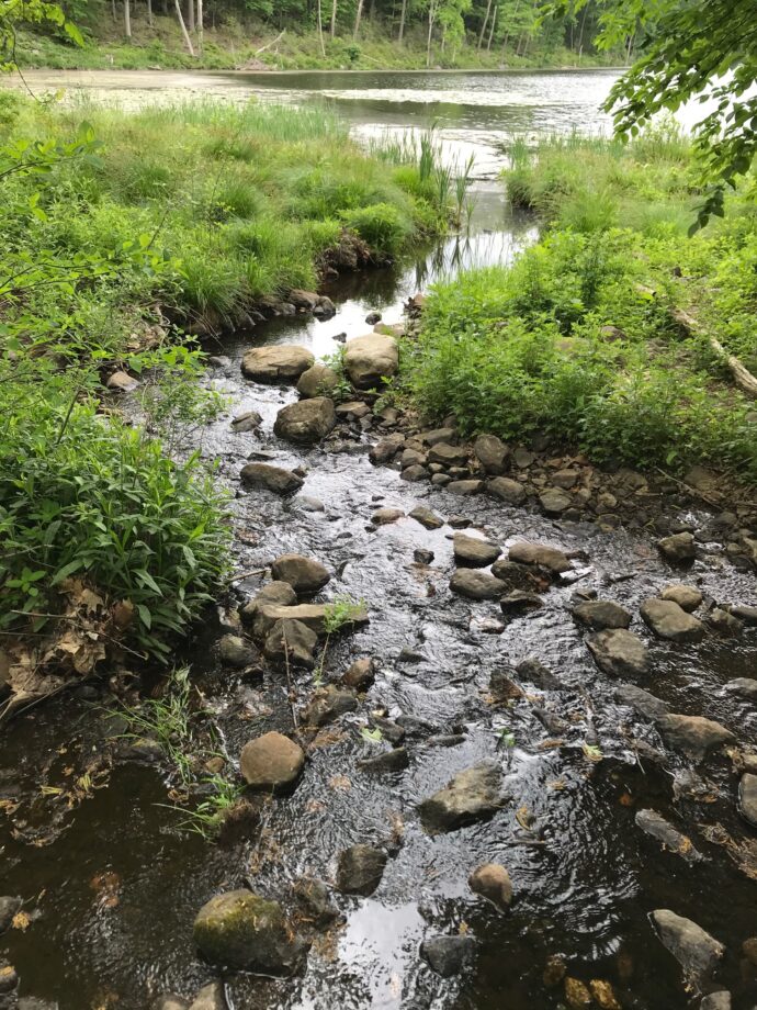 Township of Rockaway Watershed Assessment - PRINCETON HYDRO