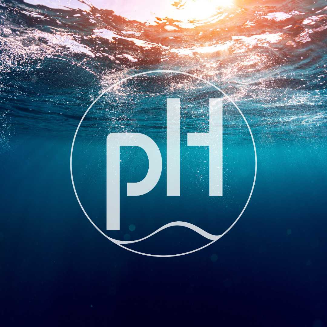 Staff Spotlight: Recognizing Professional Achievements of Two Team ...