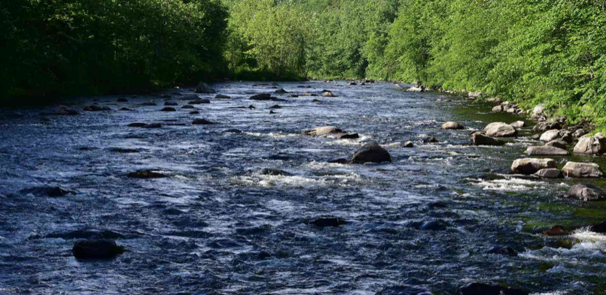 Client Spotlight: Farmington River Watershed Association - PRINCETON HYDRO