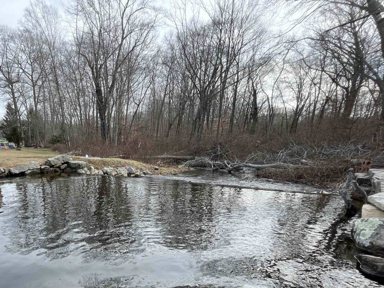 Designing a Nature-like Fishway at Long Pond Dam - PRINCETON HYDRO