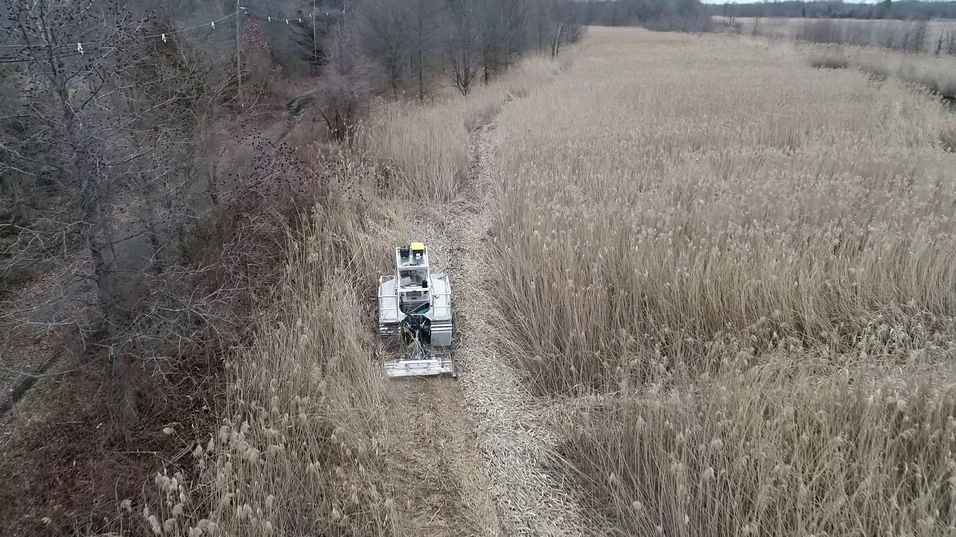 Lower Raritan Center Mitigation Site Phragmites Control - PRINCETON HYDRO
