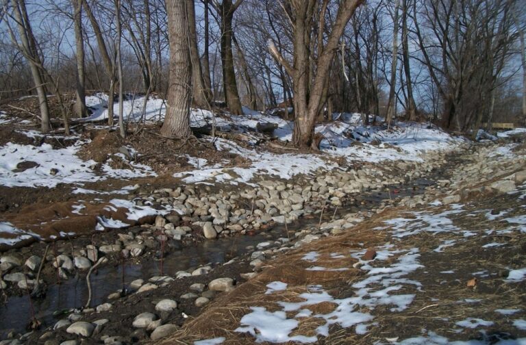 Reviving Buried Waterways: The Benefits of Daylighting Streams ...