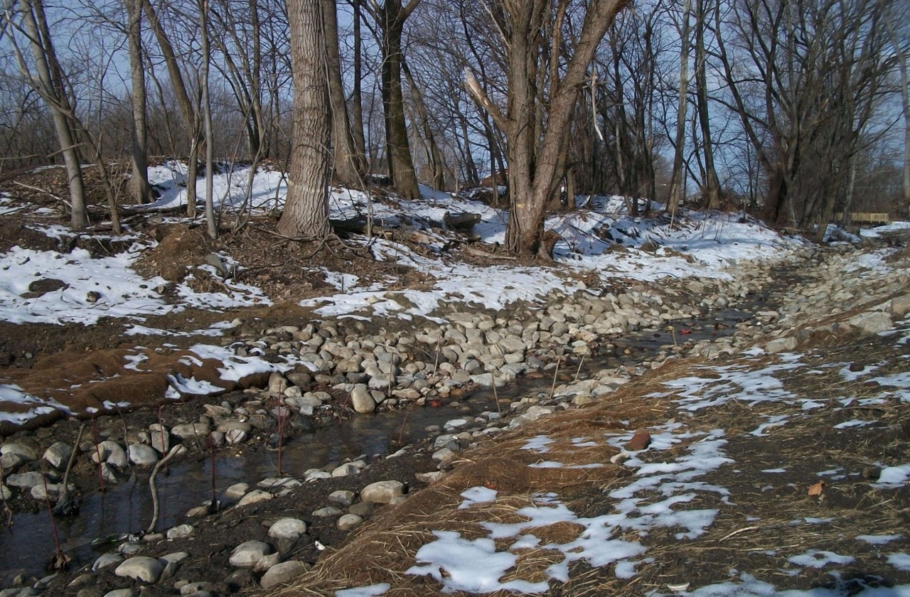 Reviving Buried Waterways: The Benefits of Daylighting Streams ...