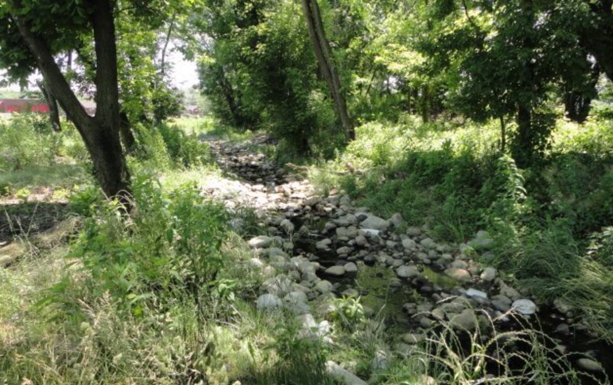 Reviving Buried Waterways: The Benefits of Daylighting Streams ...
