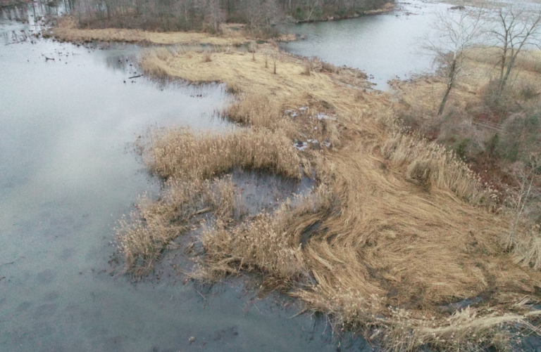 John A. Roebling Memorial Park Tidal Wetland Restoration - PRINCETON HYDRO