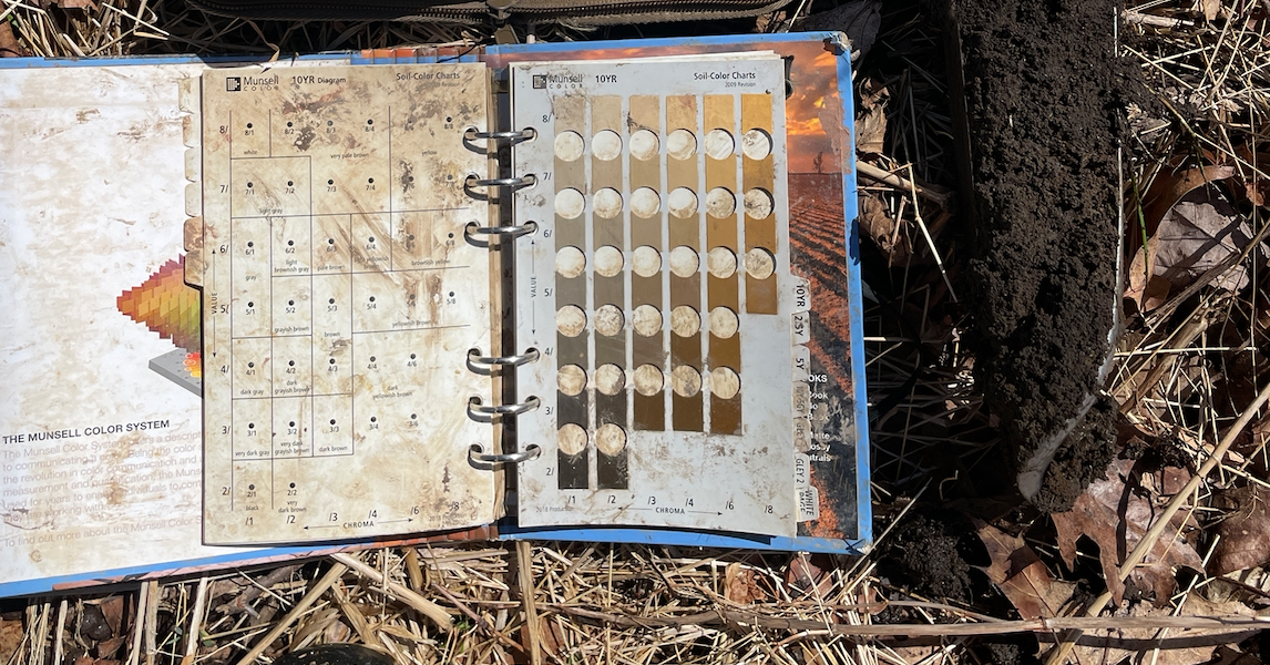 Field Notes: Decoding Soil with the Munsell Color Chart - PRINCETON HYDRO