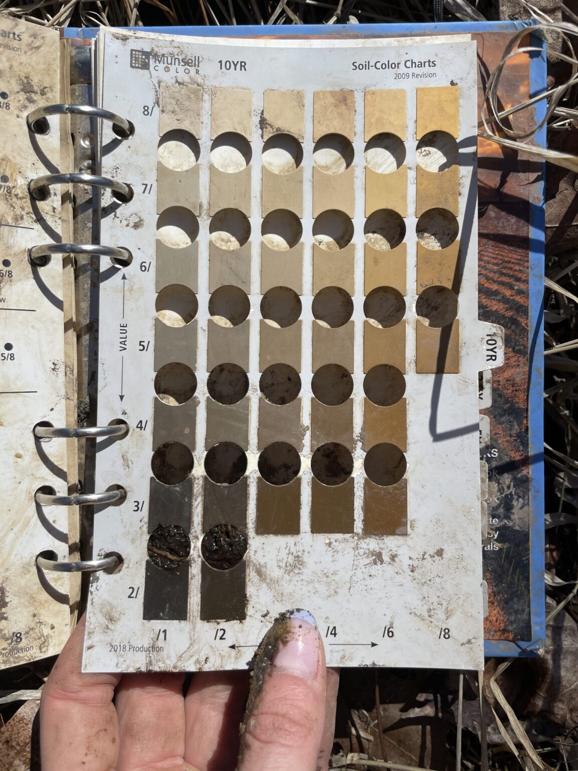 Field Notes: Decoding Soil with the Munsell Color Chart - PRINCETON HYDRO