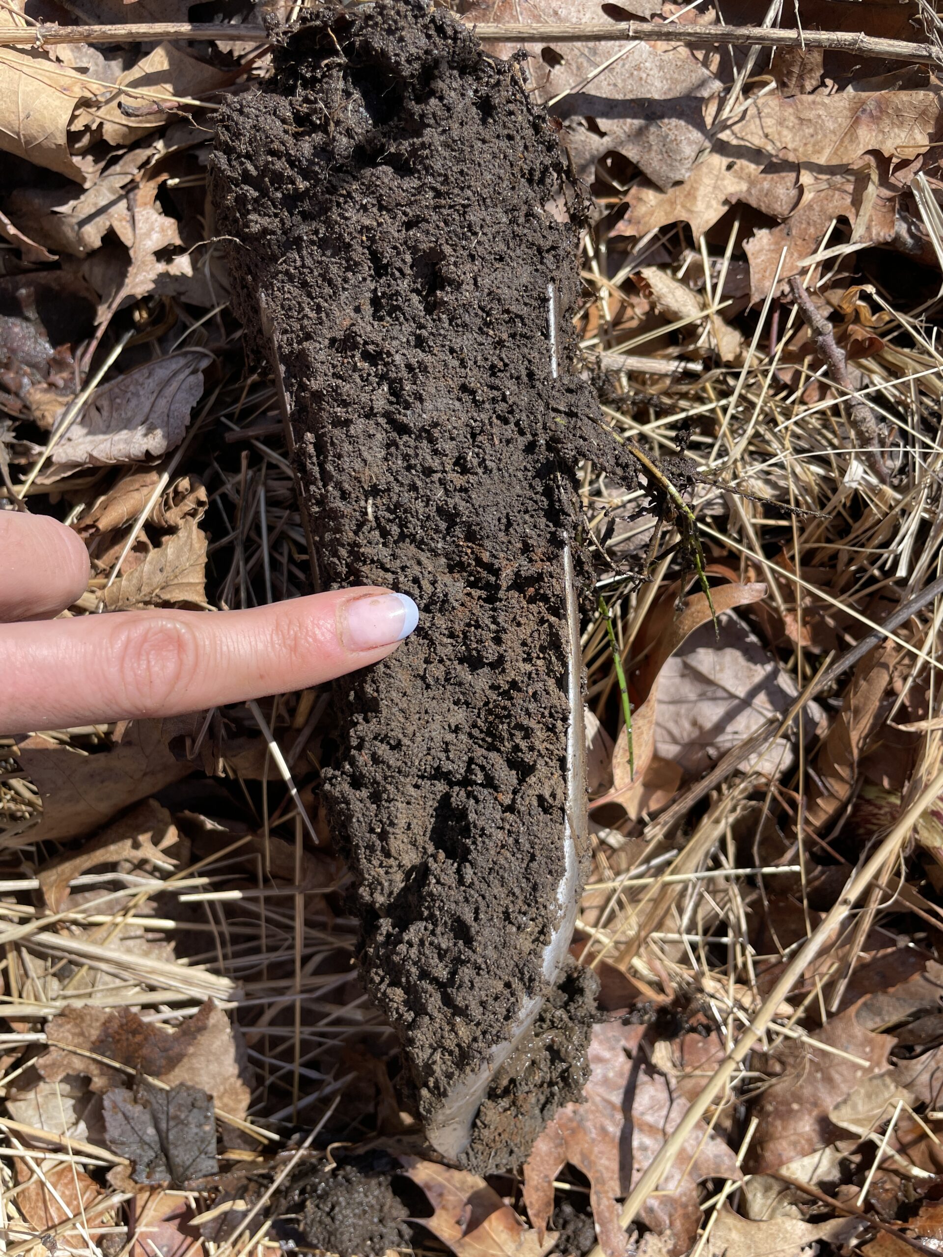 Field Notes: Decoding Soil with the Munsell Color Chart - PRINCETON HYDRO