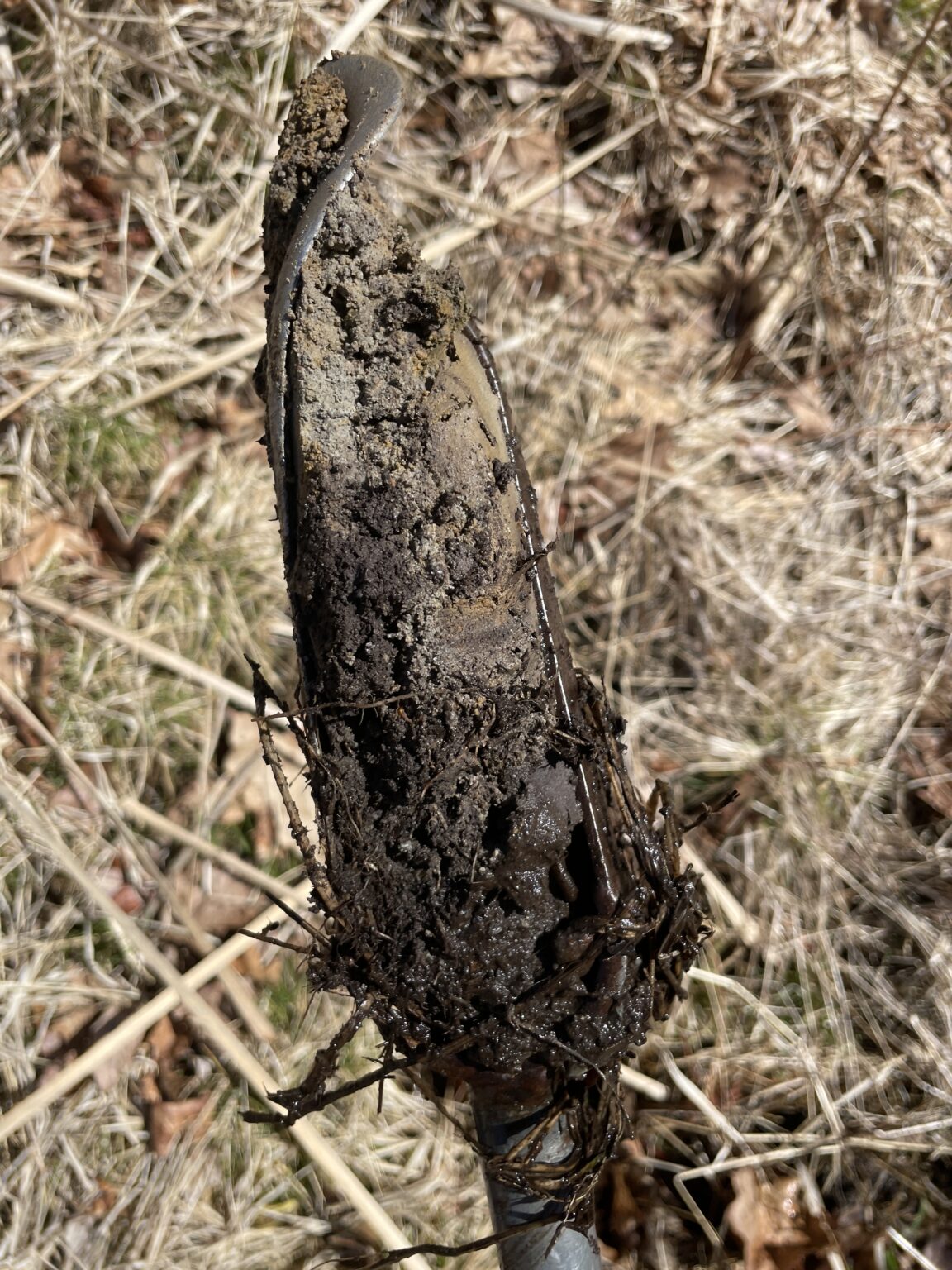 Field Notes: Decoding Soil with the Munsell Color Chart - PRINCETON HYDRO