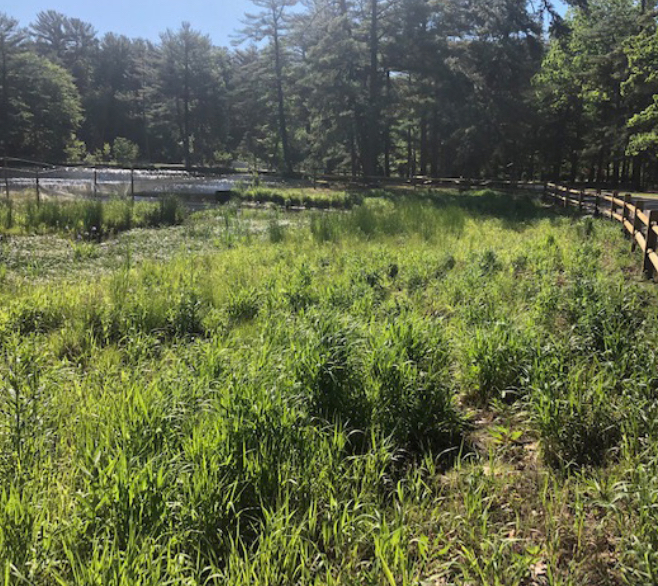 Ocean County Park Shoreline Restoration and Wetland Pocket Creation ...