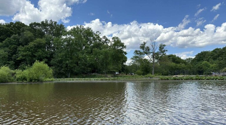 Watershed Implementation Plan for Cooper River Lake - PRINCETON HYDRO