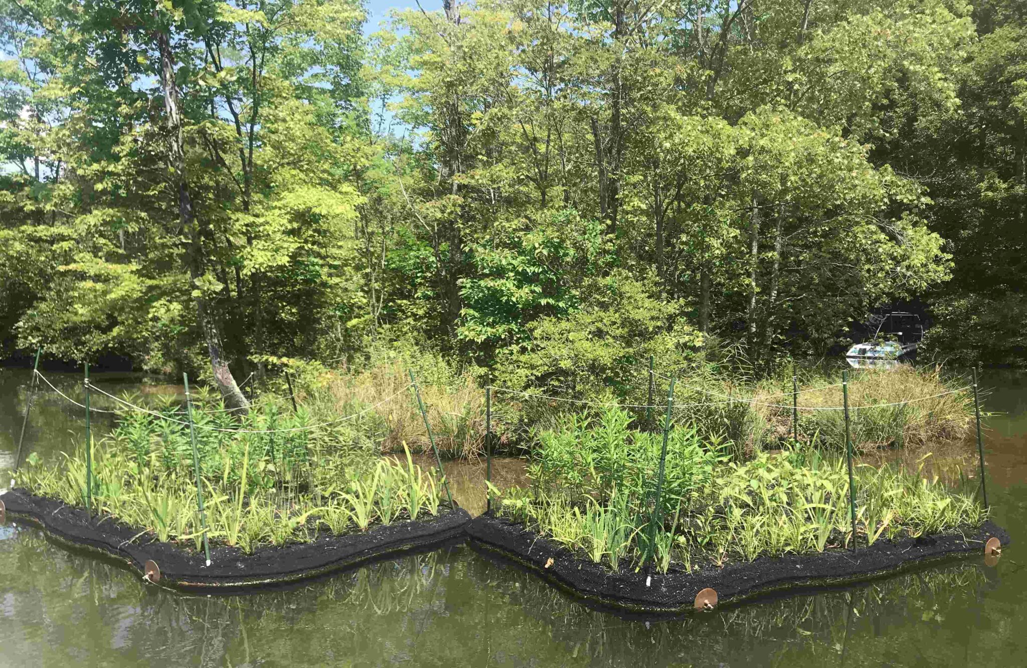 Lake Holiday: Lake & Watershed Management - PRINCETON HYDRO